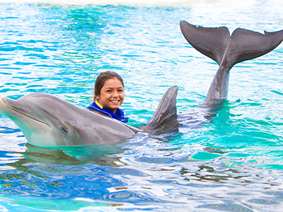 Transportation & Directions | Sea Life Park Hawaii